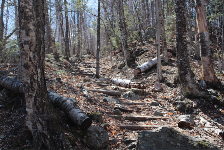 VIDEO: Ripley Falls (NH) - New England Travel Journal