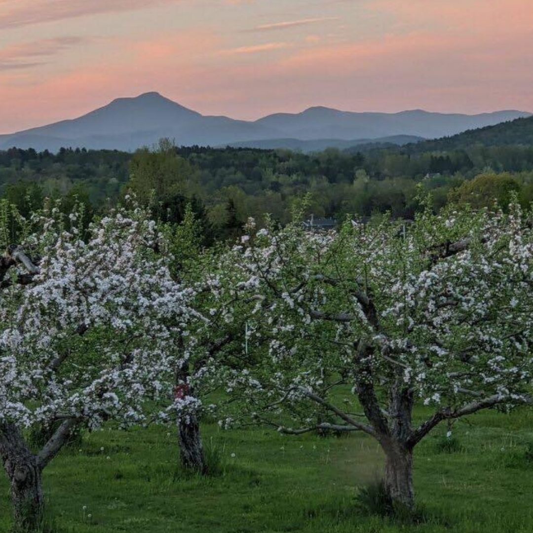 New England Family-Friendly Fall Activities - New England Travel Journal